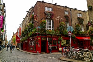 Food & Drink Menus | The Temple Bar Pub
